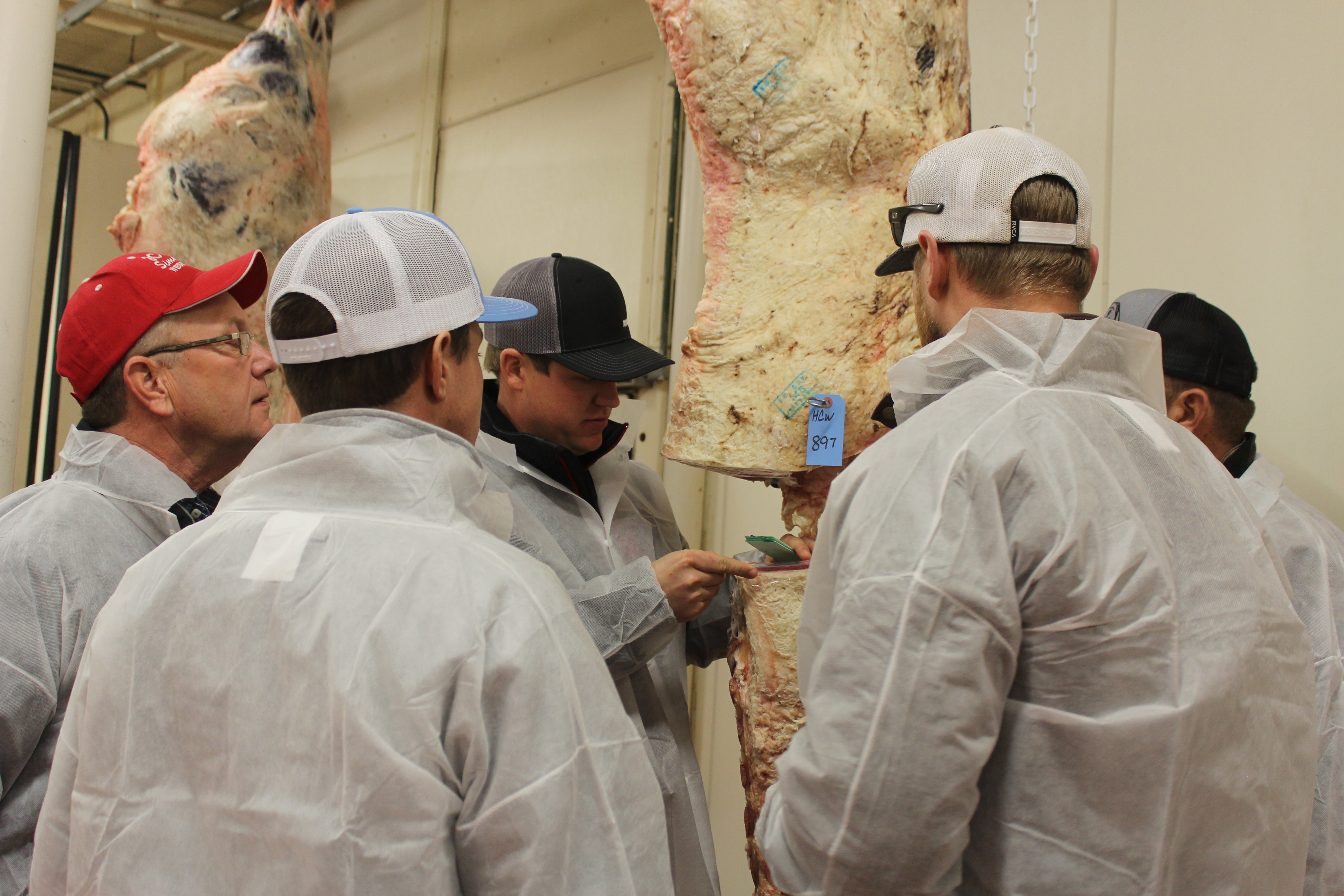 Hormones in Beef: Myths vs. Facts