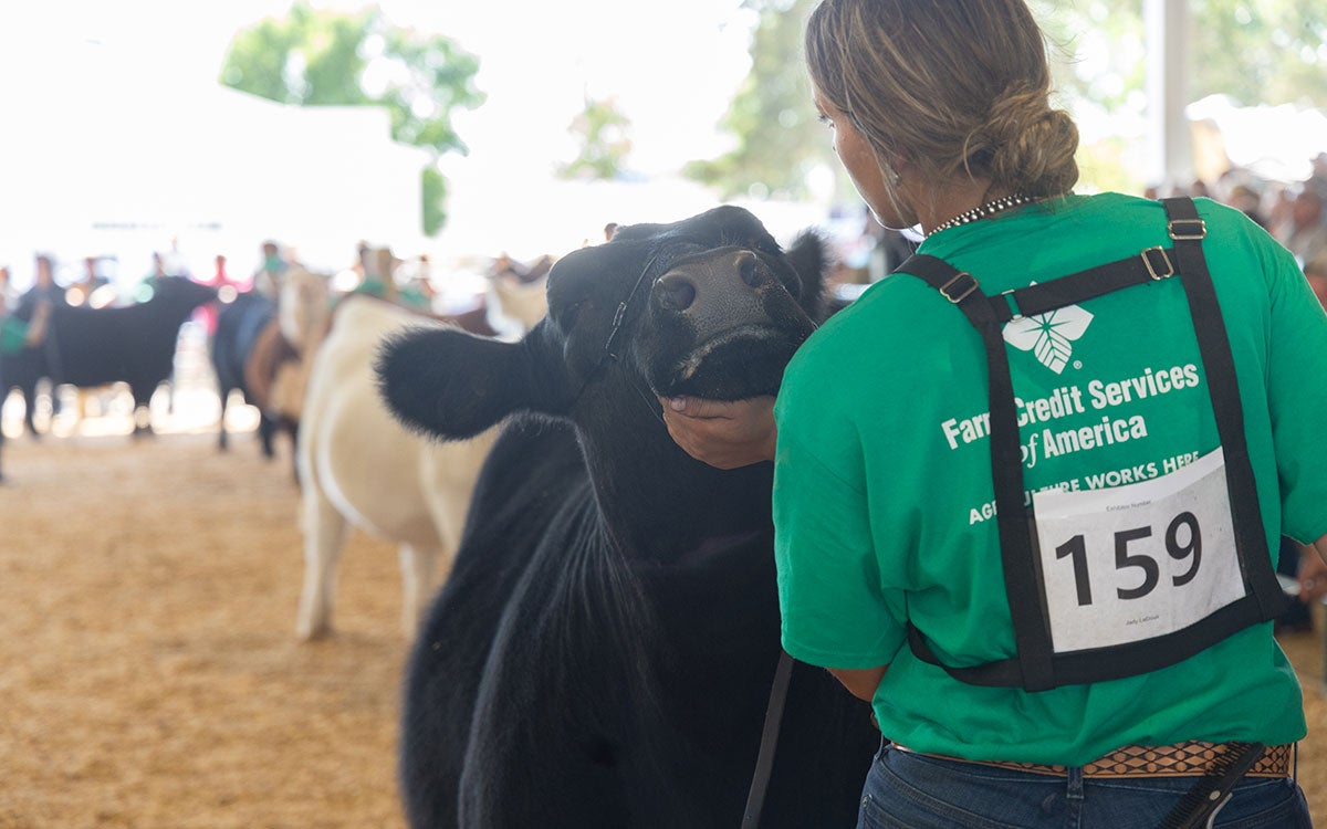 4-H Swine Project
