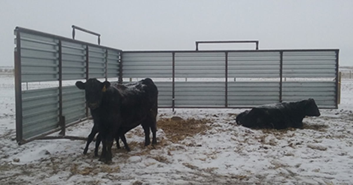 Cold Weather Management Options