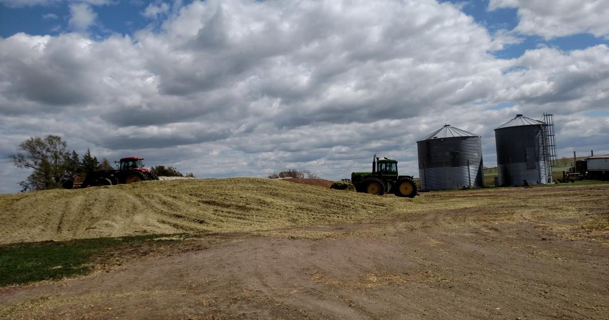 Silage Moisture Testing Tips
