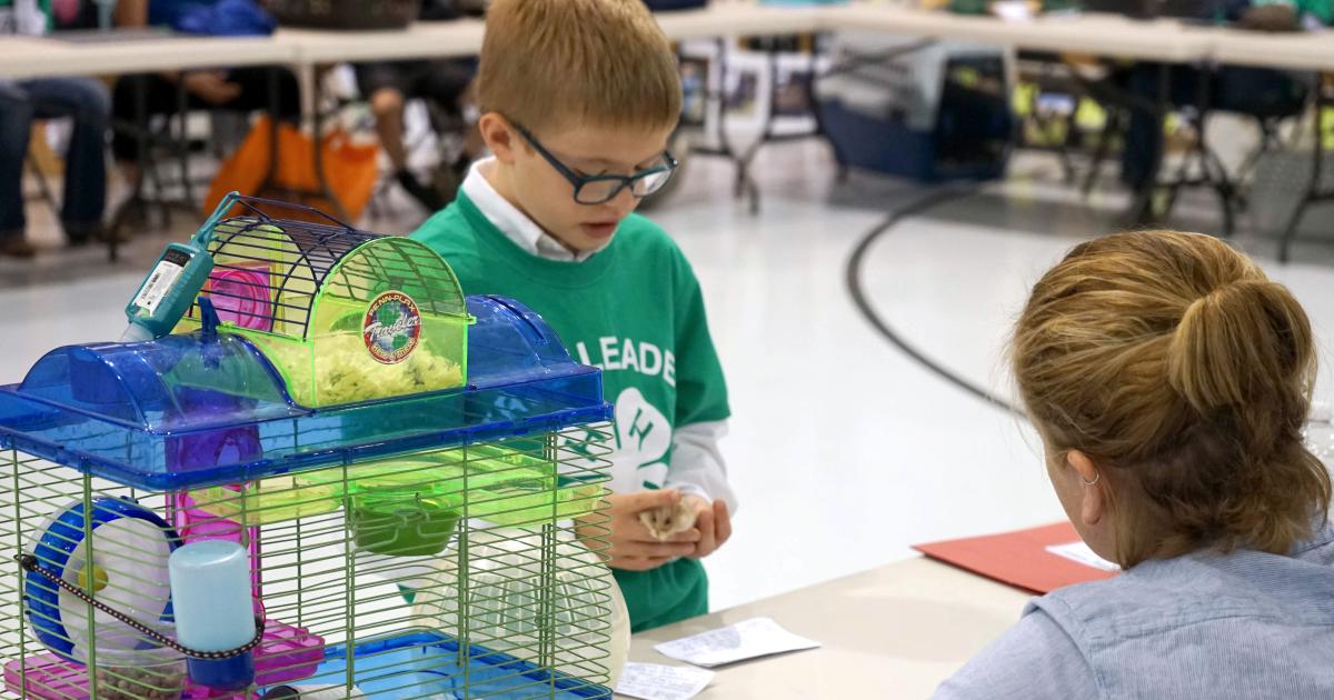 4-H Companion Animal Project