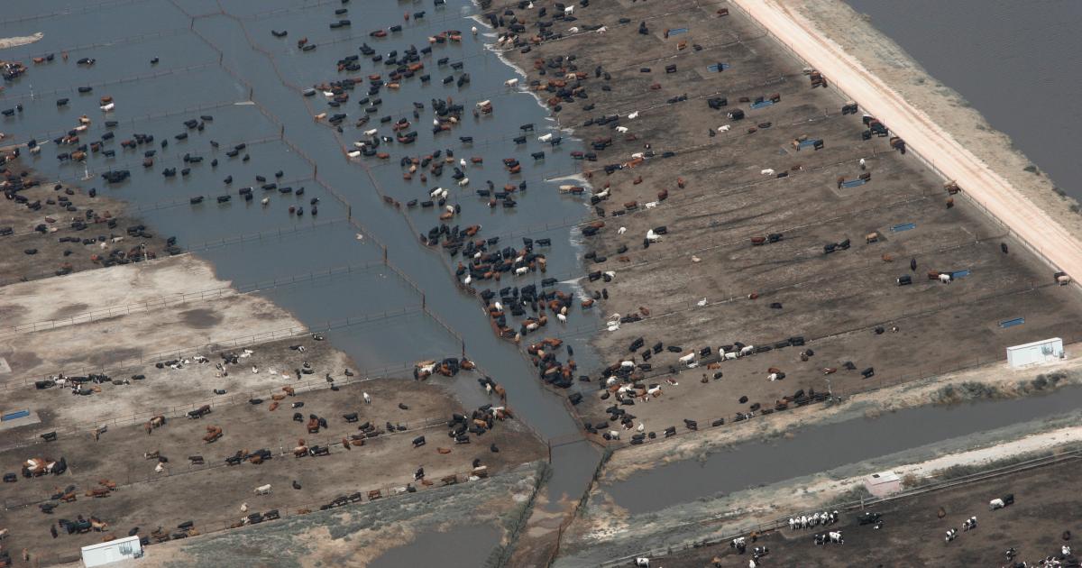 Dealing With Spring Mud and Flooding