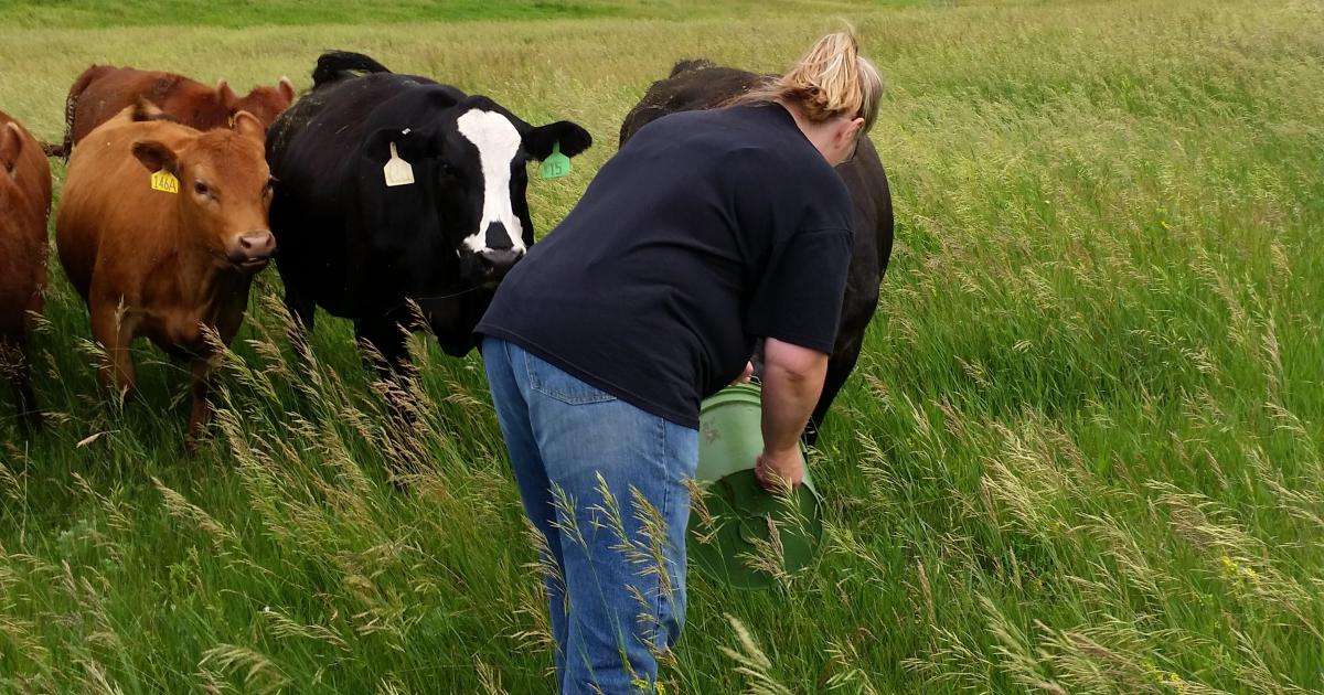 Successful Heifer Synchronization Using MGA