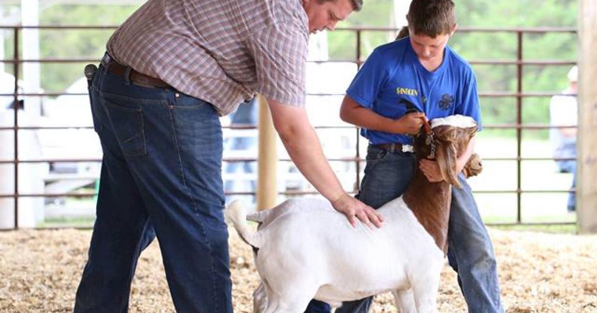 Bringing Home Your 4-H Goat Project