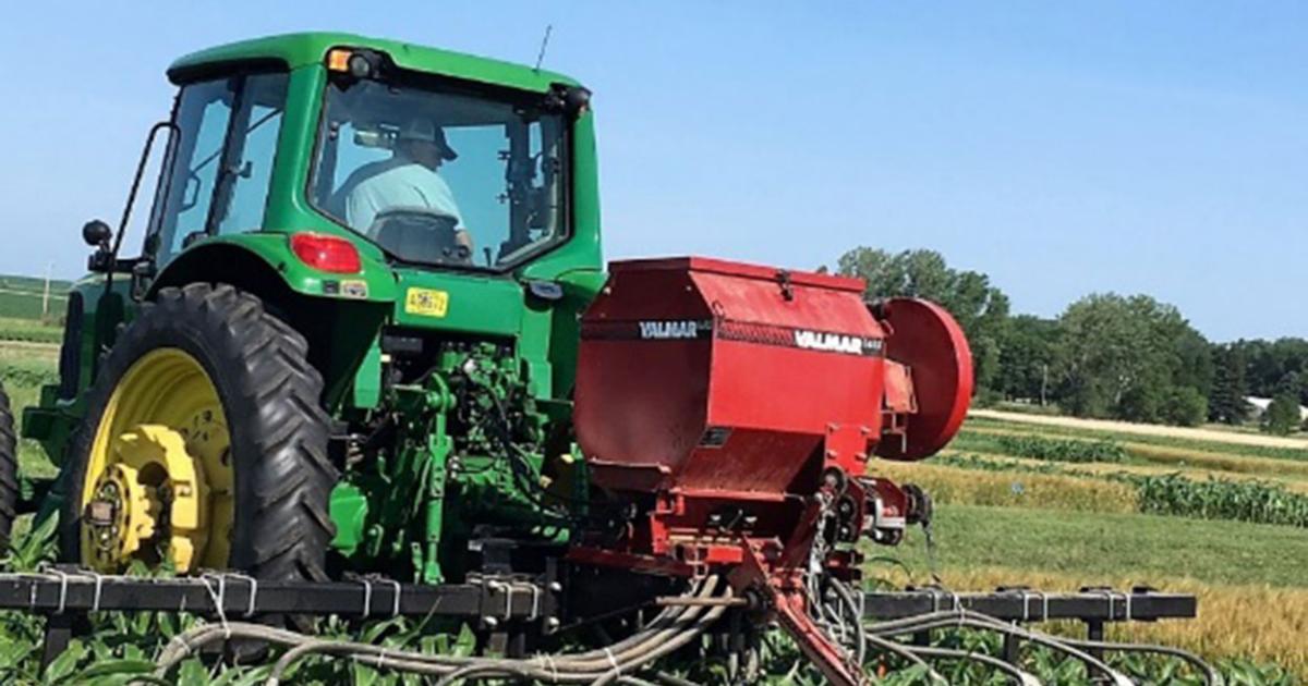 Interseeding Cover Crops Effect on Corn and Soybean Production: 2019