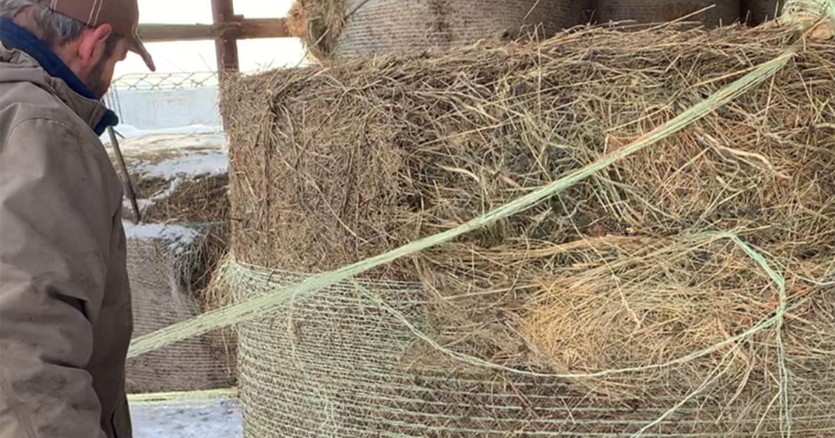 Net Wrap Removal Made Easy net-wrap-removal-made-easy