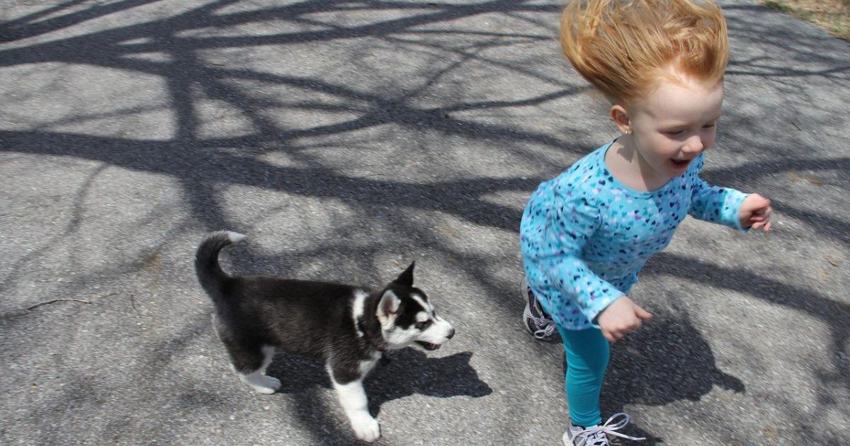 Running Around Like Crazy! It’s Ok!