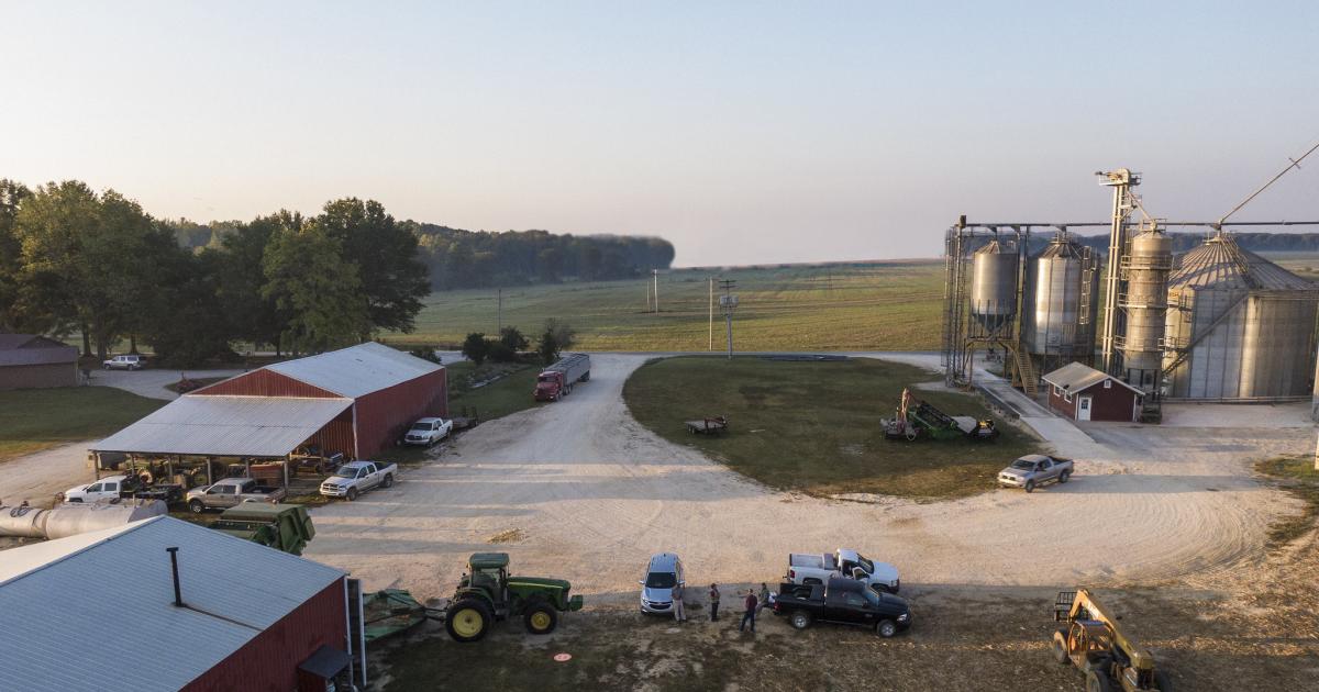 Planting Projections 2020