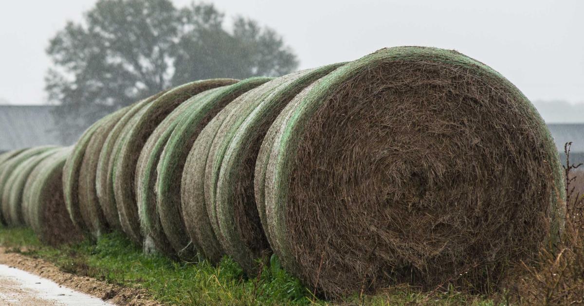 Round Bale Storage Conservation