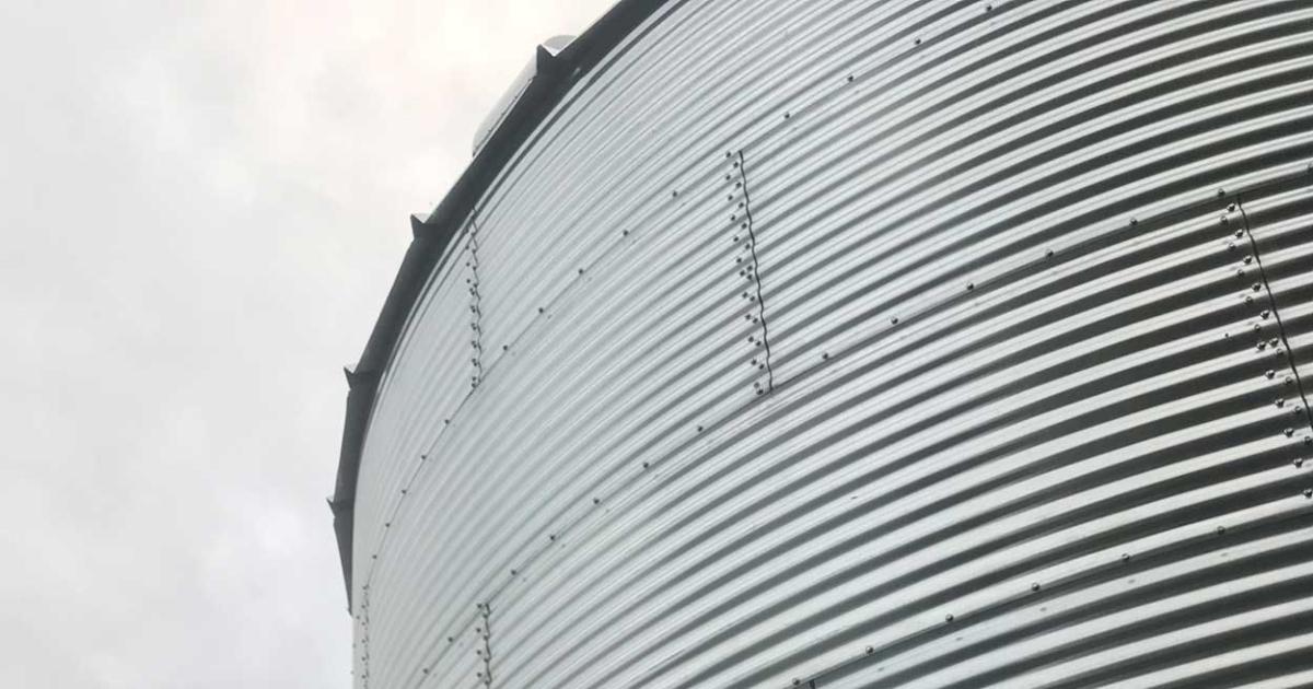 Steps to Prevent Stored Grain Infestations