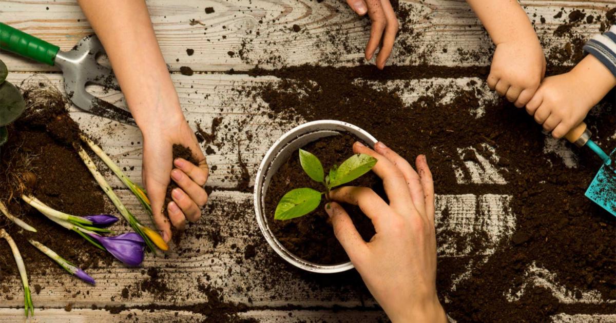 Grow Getters: Garden-Based Education for Preschool-3rd Grades