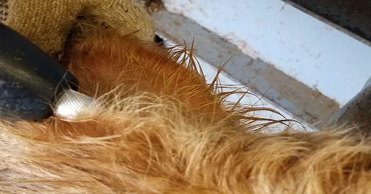 Questions and Misconceptions Surrounding Implants