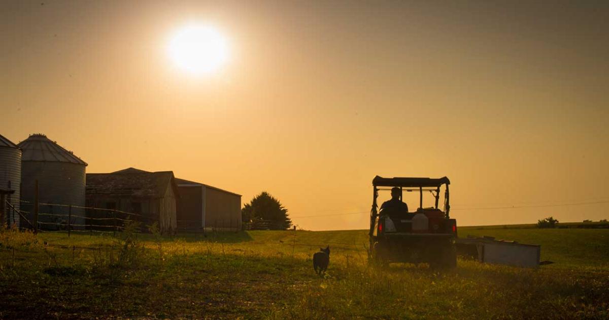 Use Caution When Fall Spraying Noxious Weeds in Pastures To Avoid ...