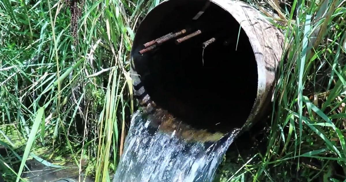 Nutrient Loss Calculator