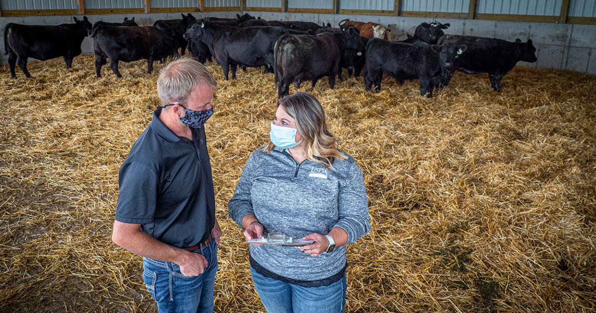 Livestock Feed Assistance Program