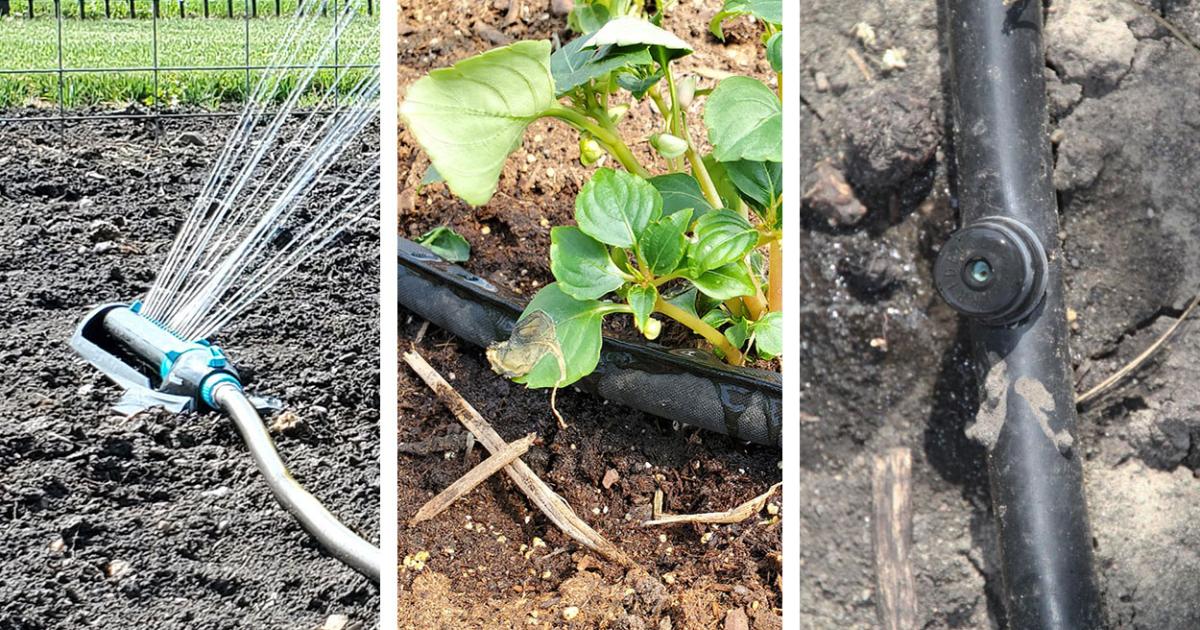 Options for Watering Home Gardens and Landscape Plantings