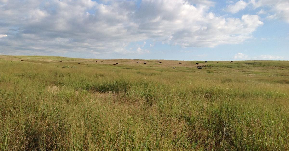 When To Graze and How Much To Graze