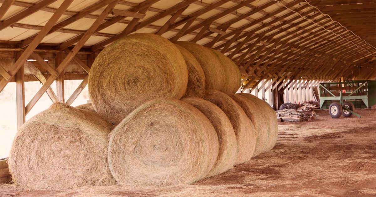 Planning Forage Needs