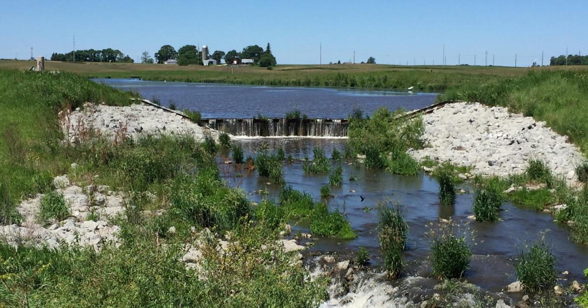 Episode 11: Constructed Wetlands Engineering Nature’s Filter
