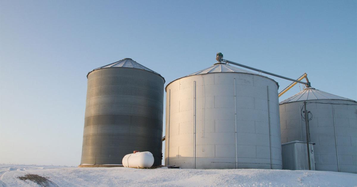 Forecasted Cold Temperatures Can Be Used To Cool Down Stored Grain