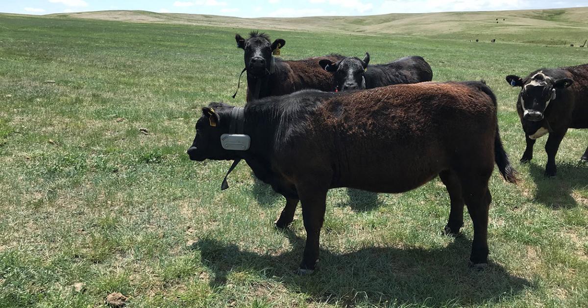 Tri-State Beef Technology Series @ Red Oak, IA