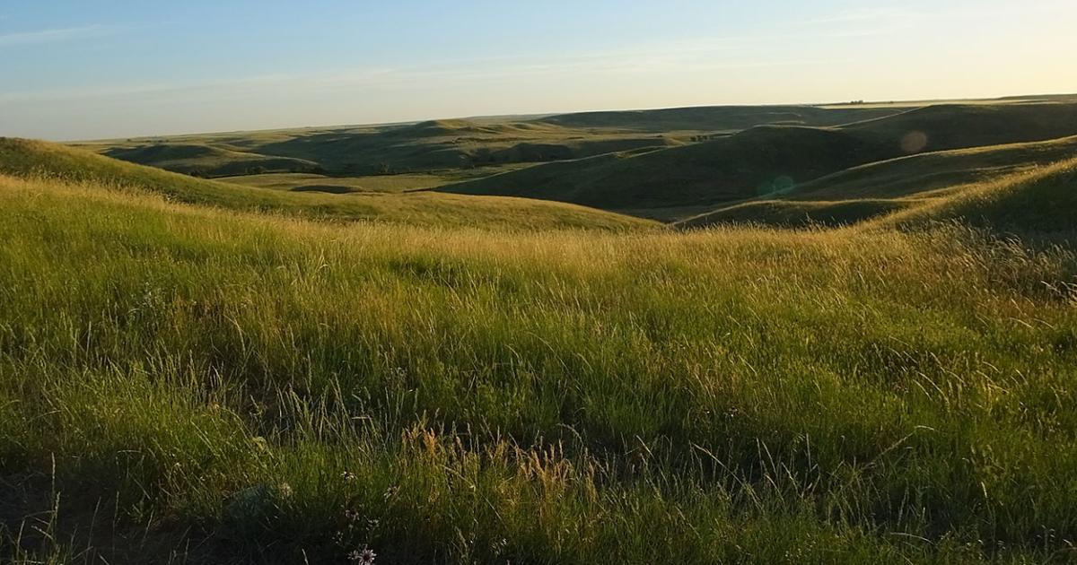 Range Beef Cow Research: Rangeland Soil Health