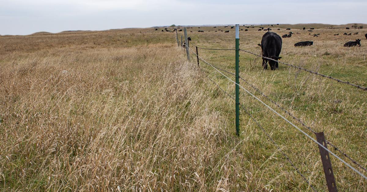 Reading the Range: Range readiness, grazing timing and drought ...