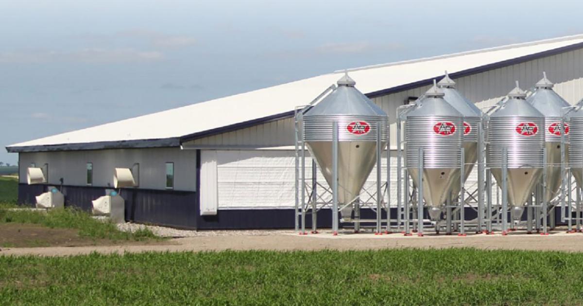 Feed Additives Can Modulate the Swine Gut Microbiome in Weaned Pigs