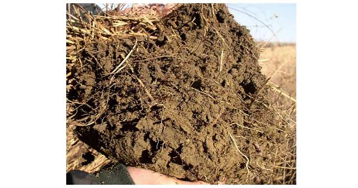 Register Now for SDSU Extension Soil Management Workshop