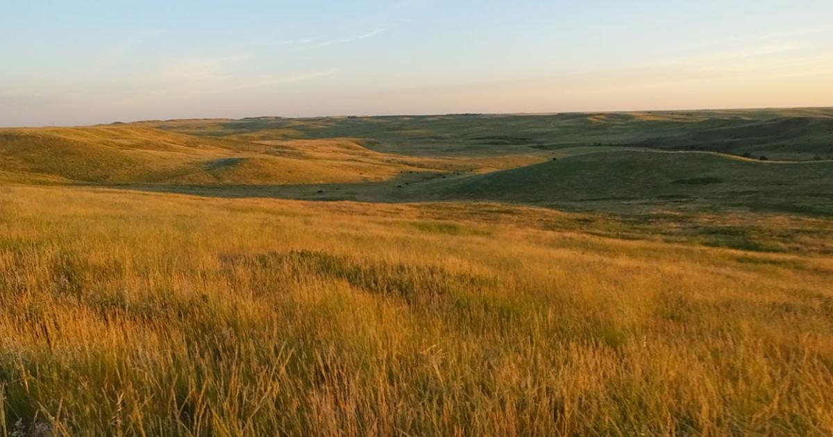 Investigating Rangeland Systems and Practices