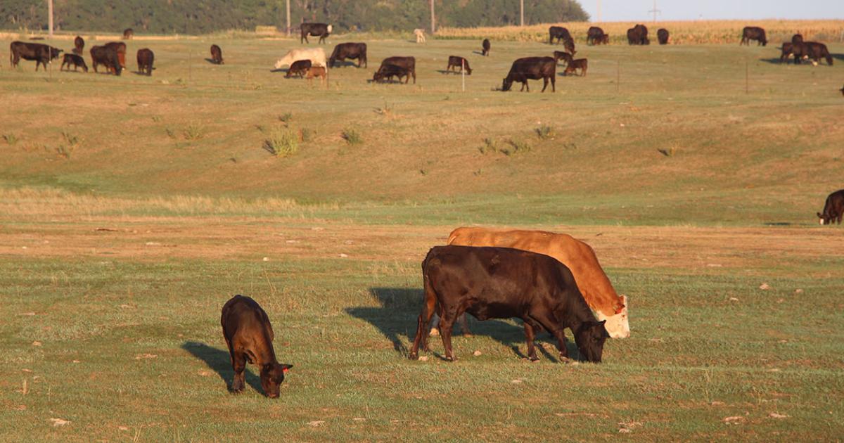 SDSU Extension Provides Drought Management Resources