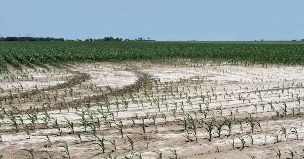South Dakota producers share their stories with SDSU Extension’s Every ...