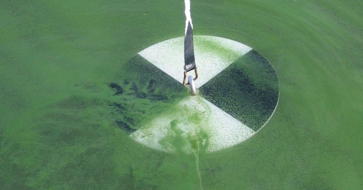 The Trophic State Index