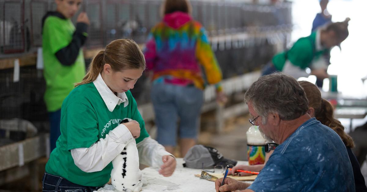 4-H Volunteers
