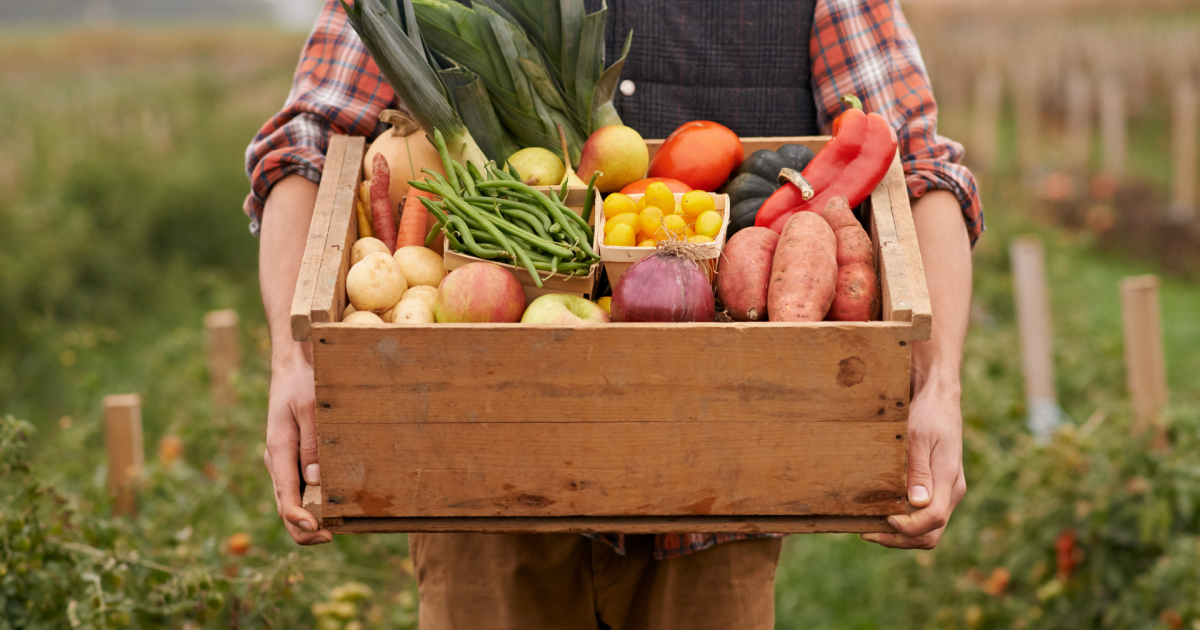 SDSU Extension launches new virtual vegetable production training series