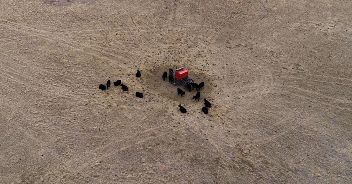 Utilizing Drones for Ranching Operations