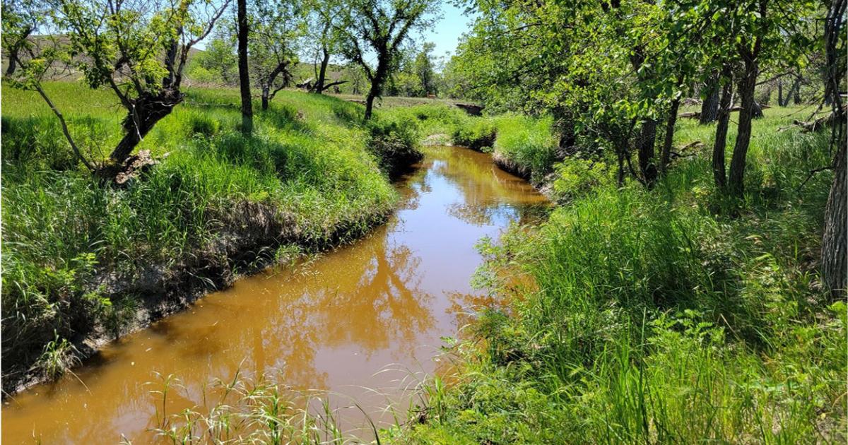 Ranching and Prairie Streams: Why Riparian Areas Matter