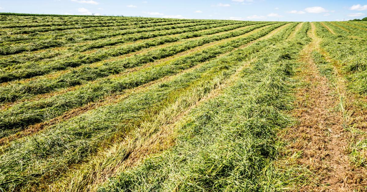 Register today for SD Winter Forage Meeting