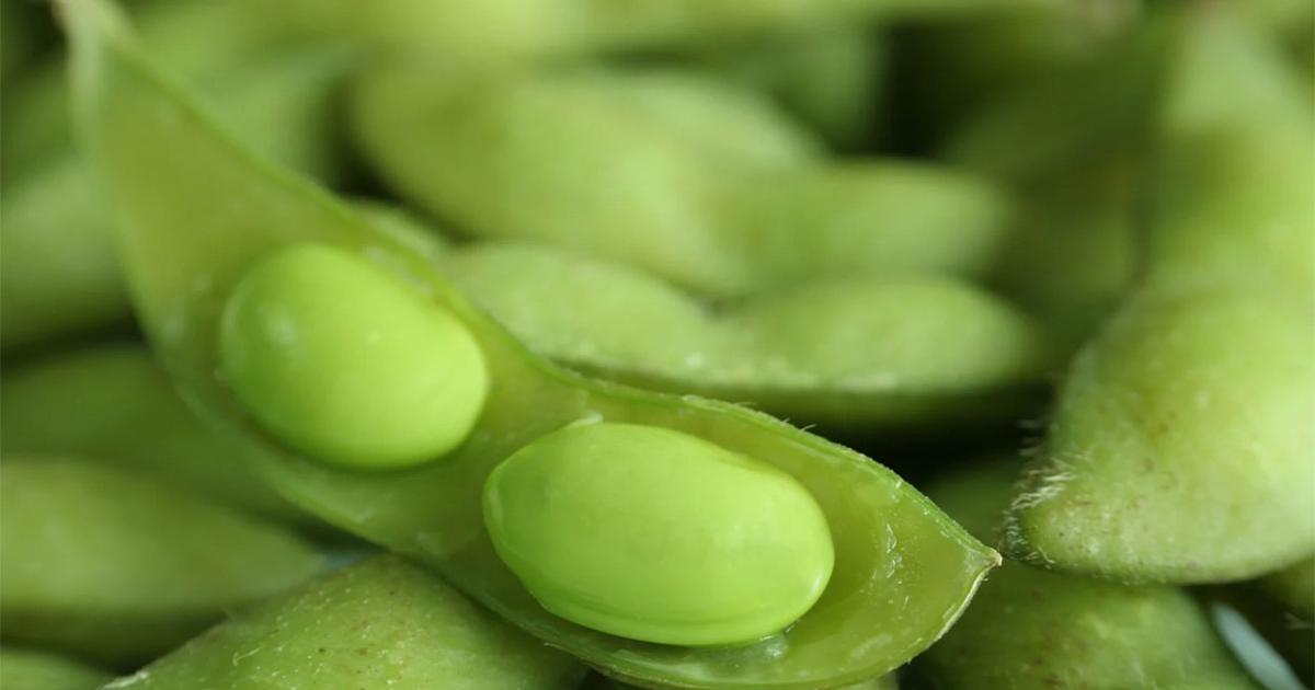 Edamame: Harvest and Storage