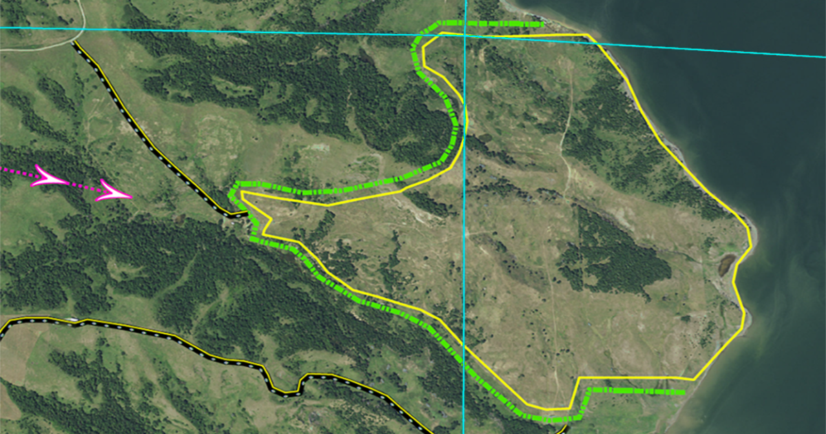 Utilize Targeted Grazing for Firebreaks