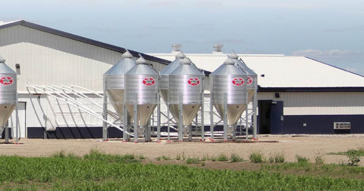 Balanced Branched Chain Amino Acids in High Corn-Distillers-Dried ...