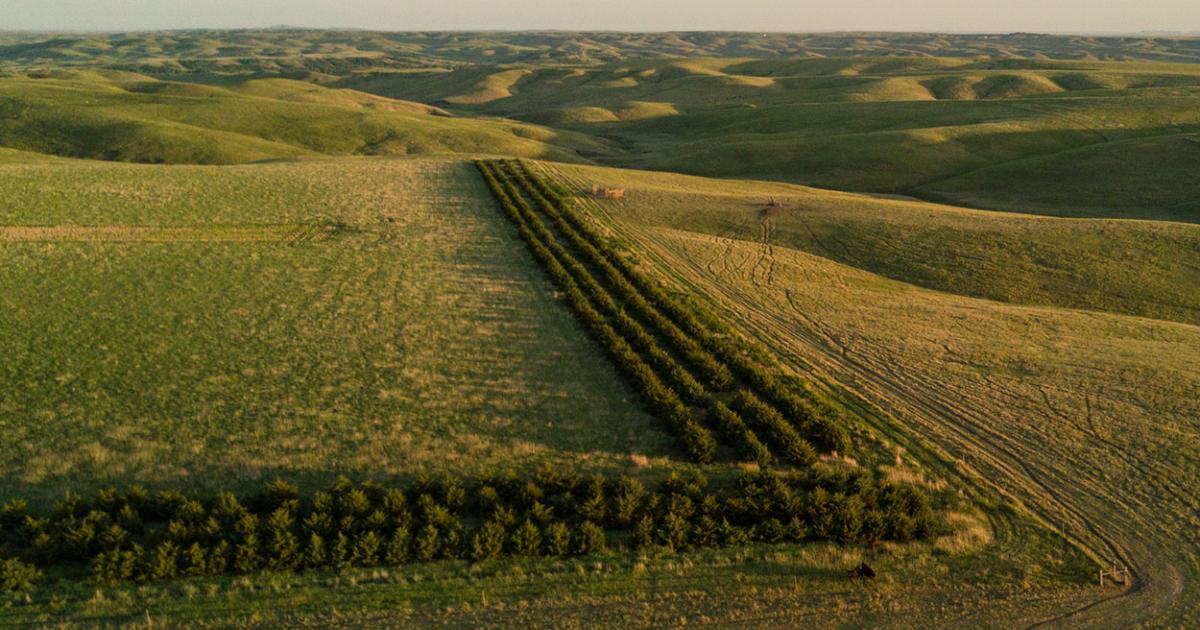 SDSU Extension invites all to SD Coalition Grassland Management School