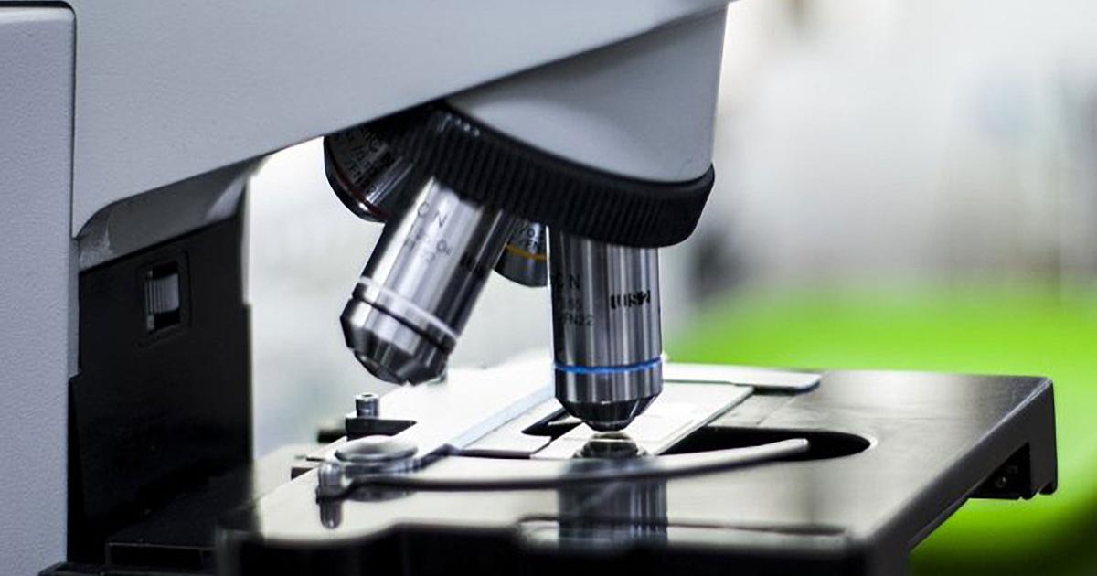 Midwest animal science meeting to highlight SDSU research