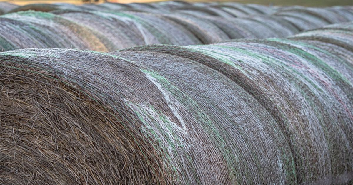 Best Management Practices for Reducing Dry Hay Storage Loss