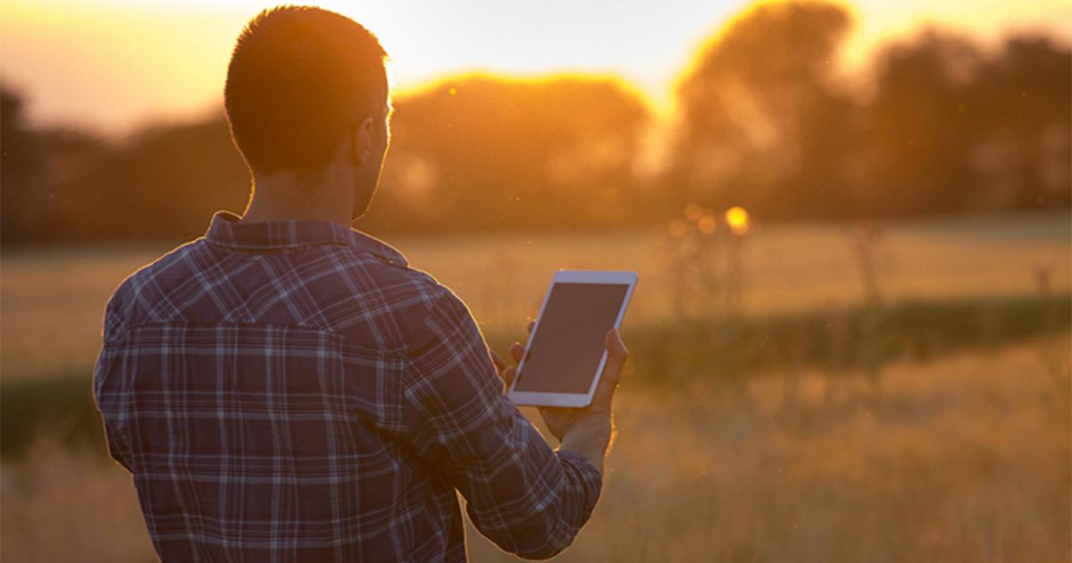 Critical Period of Weed Control: A good, but not perfect guideline