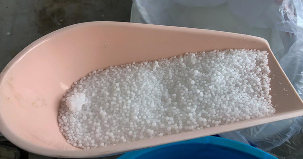 Considerations of Urea Use in Cattle Rations