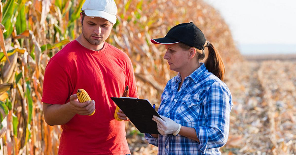 The Handy Bt Trait Table: A tool to help select the right corn traits ...