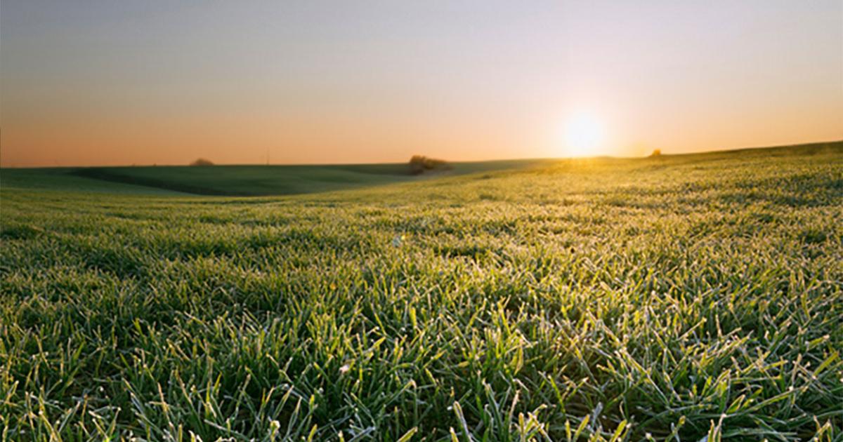 Last Spring Frost Dates