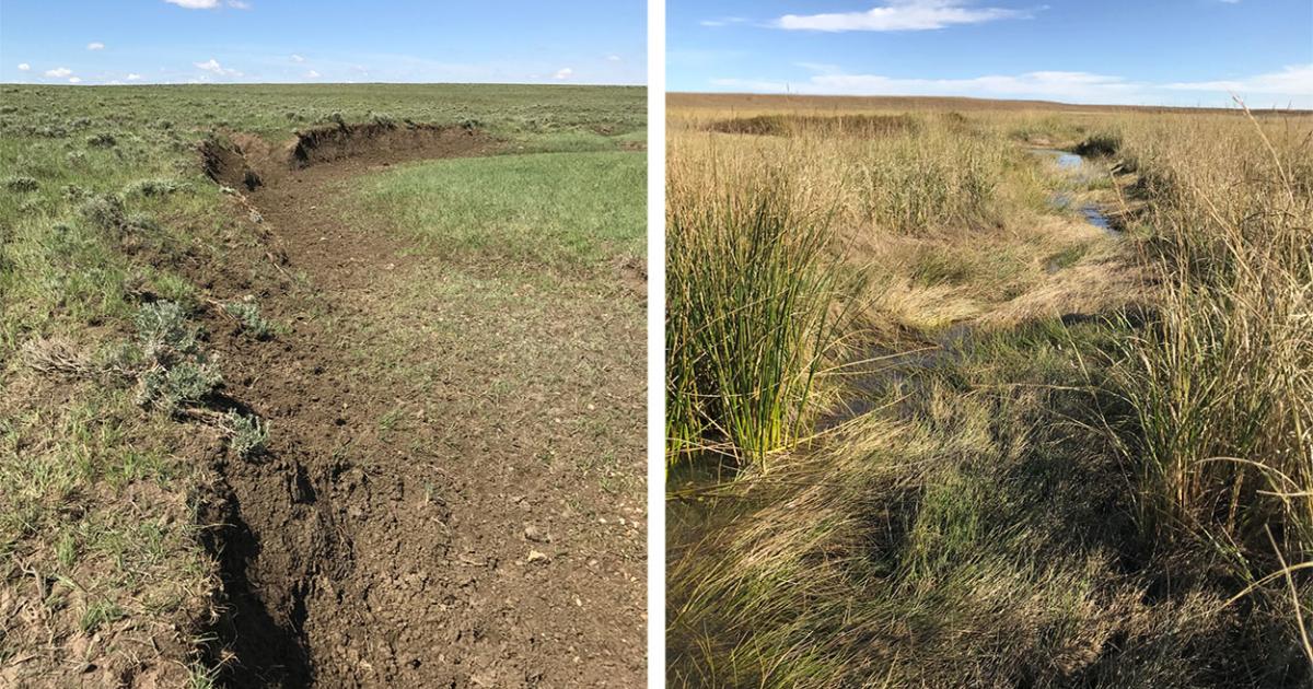 Ranching and Prairie Streams: What Healthy Riparian Areas Mean for Your ...
