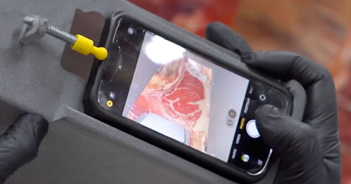 USDA Remote Grading Pilot Program: Increasing Marketing Options at ...